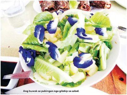 NANAGHAN ANG BUWAK INTERESADO SA SAPUKINGAN - PressReader