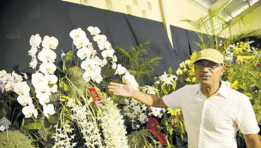 Orchid culture blooms at JOS Expo and beyond - PressReader