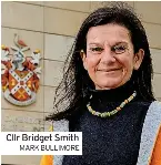 Council chief in running for national Cllr Awards - PressReader