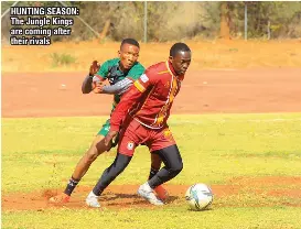 Jungle Kings on the hunt - PressReader