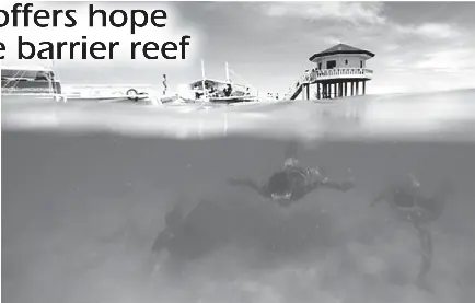 Marine park offers hope for rare double barrier reef - PressReader