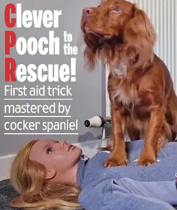Clever Pooch to the Rescue! - PressReader