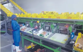 Innovative ZZ2 group of companies still growing - PressReader