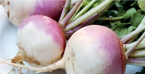 El nabo, una hortaliza que hay que aprovechar - PressReader