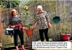 Revamp is right up our Frances’ alley - PressReader