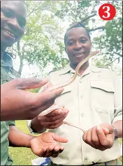 Bringing children to nature - PressReader