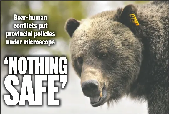 ‘NOTHING SAFE’ - PressReader