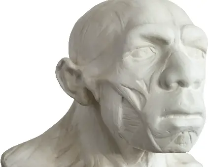 The Cave Man Cometh - PressReader