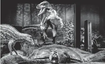 Edelman Fossil Park & Museum springs to life - PressReader