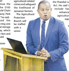 Cereal, yam, and vegetable crops lead the way in agri growth - PressReader
