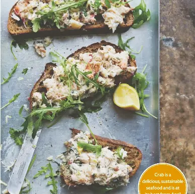 Port Isaac Crab, Toast and Mayo - PressReader