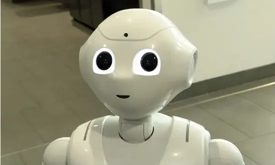 Un robot pour humaniser les soins - PressReader