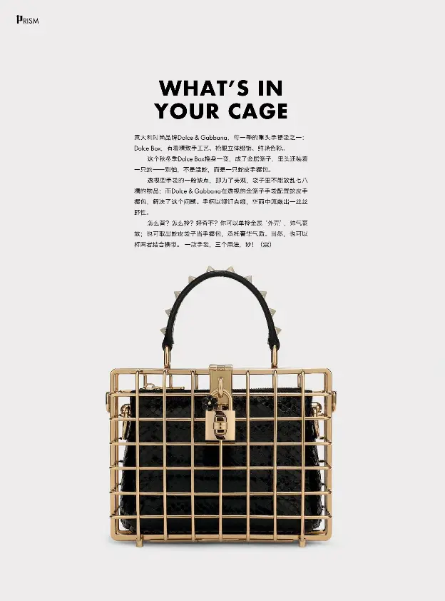 WHAT’S IN YOUR CAGE - PressReader