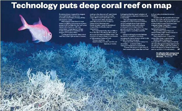 Technology puts deep coral reef on map - PressReader