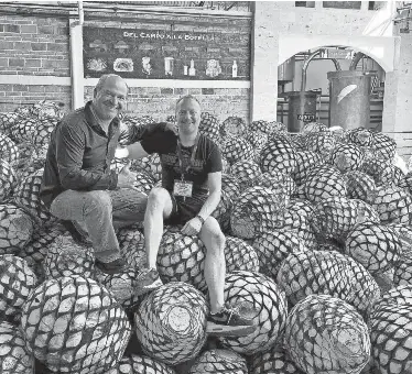 La Piña bar owner wants to share the story of tequila and mezcal ...