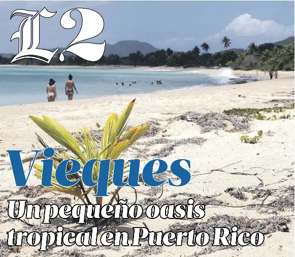 Vieques Un pequeño oasis tropical en Puerto Rico - PressReader