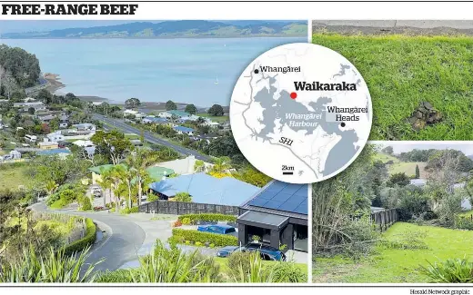 Feral herd damaging bush - PressReader