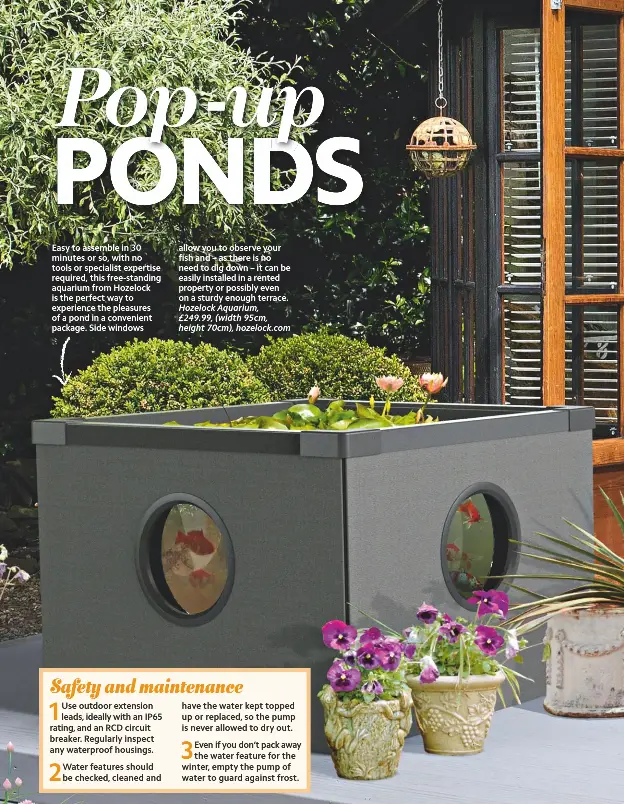 Pop -up PONDS - PressReader