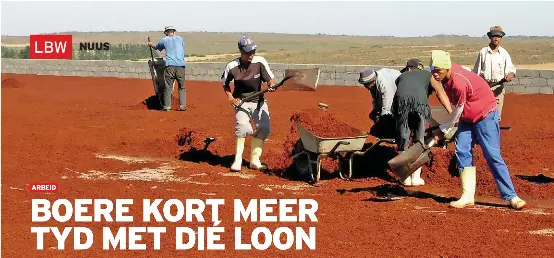Boere kort meer tyd met dié loon - PressReader