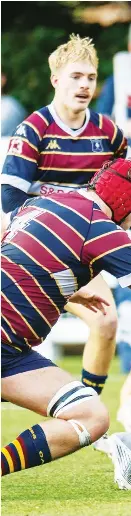 Happy Havant look here to stay! - PressReader