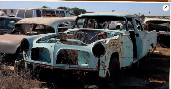 Will Shiers’ DISCOVERIE­S - PressReader