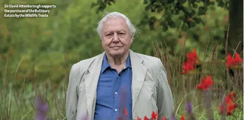 Does Rothbury need saving from Sir David? - PressReader