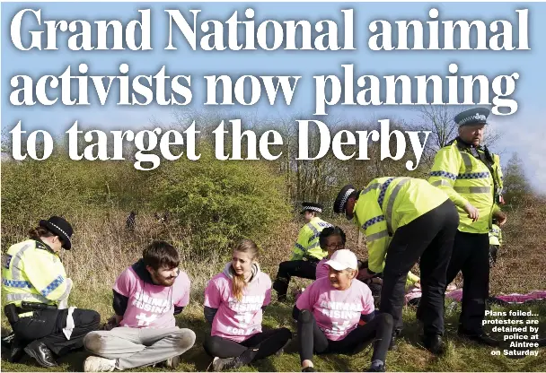 Grand National animal activists now planning to target the Derby ...