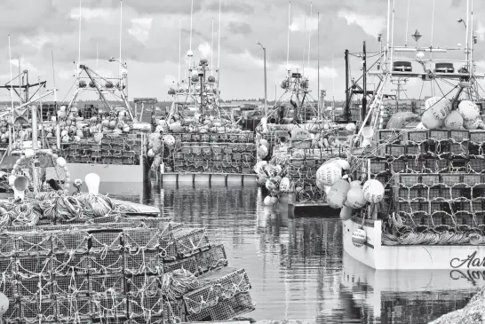 Environmen­t commission­er slams DFO’S monitoring - PressReader