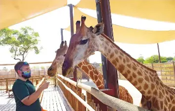 COOL ANIMAL ENCOUNTERS AWAIT - PressReader