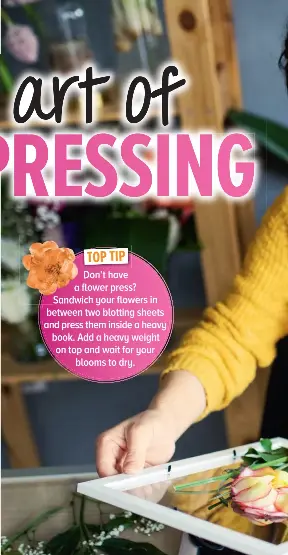 The art of FLOWER PRESSING - PressReader