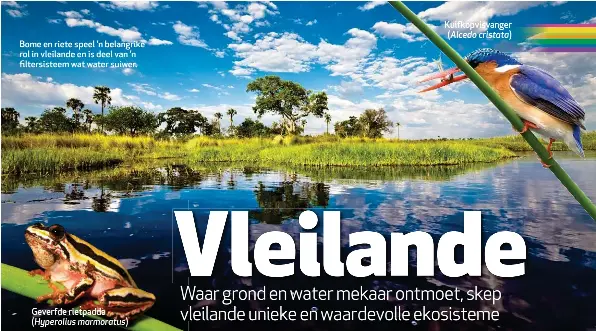 Vleilande skep unieke ekostelsel­s - PressReader