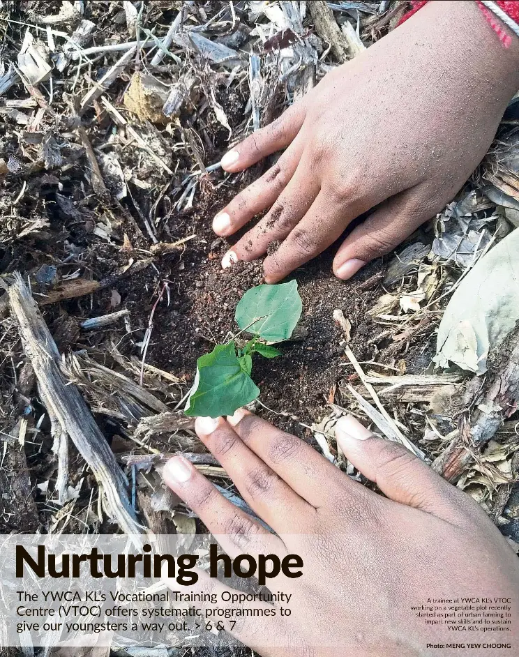 Nurturing hope - PressReader