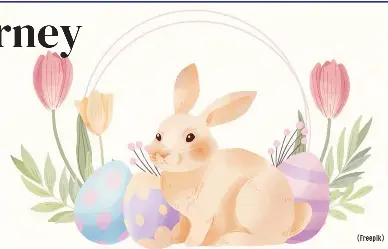 A rabbit’s journey Looking into the Easter Bunny’s routine - PressReader