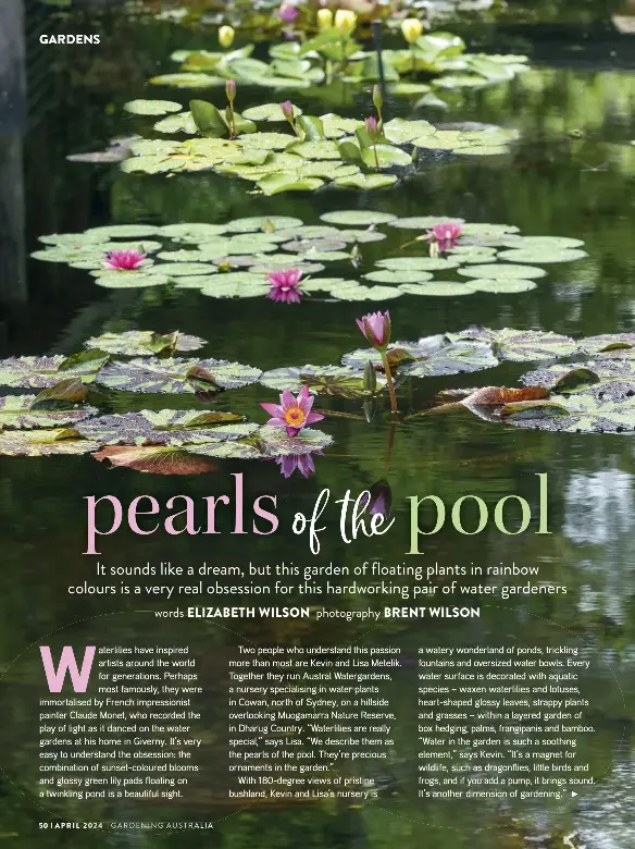 pearls of the pool - PressReader