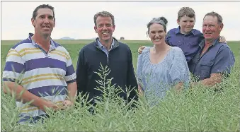 Diversifyi­ng canola crops - PressReader