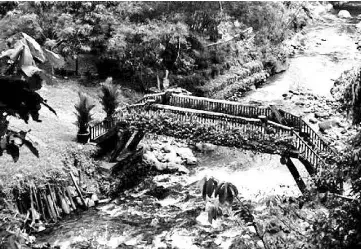 Resort in a plantation draws nature lovers - PressReader