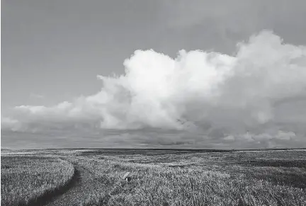 What are the best views in Minnesota? Here are our picks - PressReader