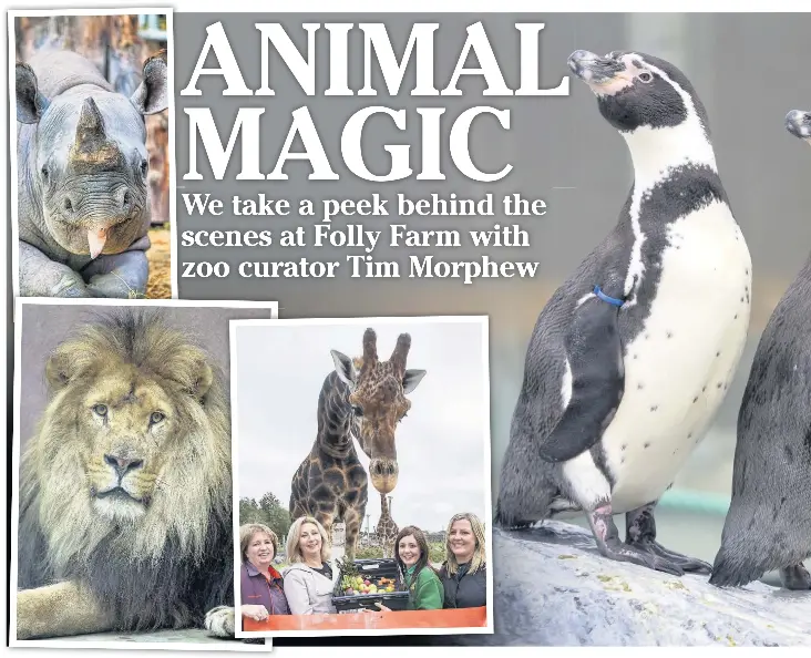 ANIMAL MAGIC - PressReader