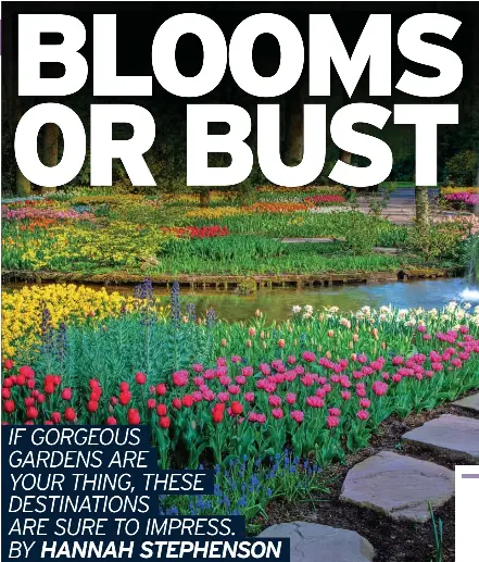 BLOOMS OR BUST - PressReader