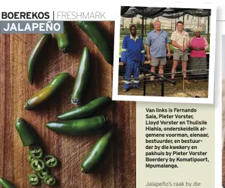 PIETER VORSTER JALAPEÑOBO­ER VINNIGE VRAE - PressReader