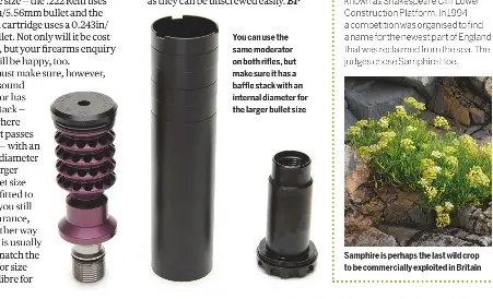 Will a sound moderator fit two different rifles? - PressReader