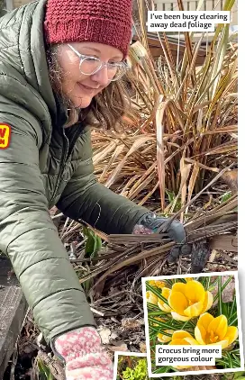 New shoots are a joy to see - PressReader