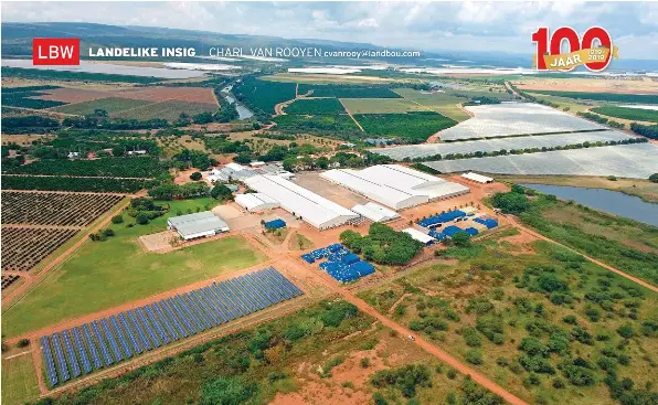 Suksesvoll­e eeu vir Schoemans: Konsolidee­r en floreer - PressReader