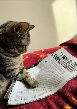 BETERBIEV-BIVOL NEXT PLEASE - PressReader