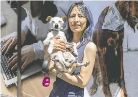 Cafes for pets and their owners on the uptik - PressReader