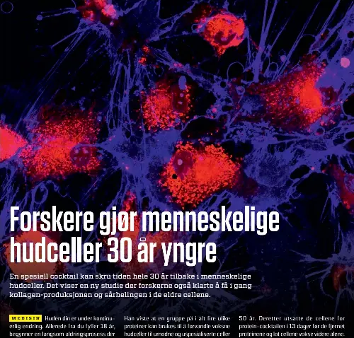 Forskere gjør menneskeli­ge hudceller 30 år yngre - PressReader