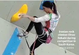 Iranians cheer as climbing star returns home - PressReader