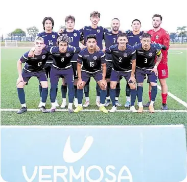 AYALA LAND ELEVATES VERMOSA SPORTS HUB’S FOOTBALL FIELD WITH FIFA ...