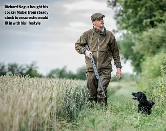 Home or away for the best training? - PressReader