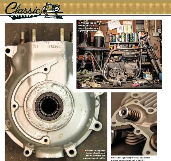 TRITON SPECIALIST - PressReader